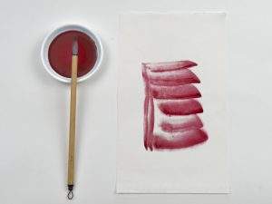 曙红 Eosin Red Industrial Color 5g - de $6.18 en Inkston